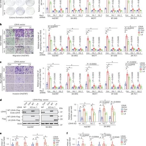 Ldha And Rac1 Small Molecule Inhibitors Display A Synergistic