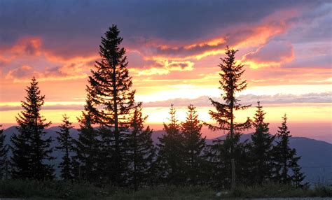 Wallberg Midsummer Jarikir Flickr