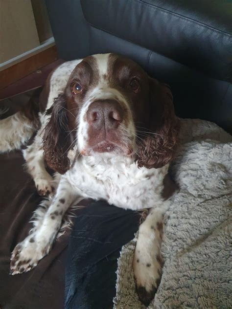 Daily Hugo Post 180 Rforsen Daily Hugo Post 180 Rforsen