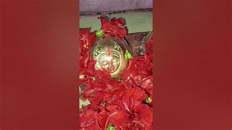 Maakalratridevi Jai Durgekalijagdambanavratri Navratrispecial