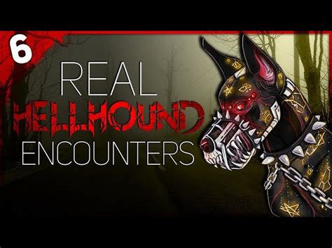 Hellhound Real Life
