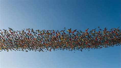 Premium Photo Flight Of Harmony Colorful Birds In Perfect Migration Formation