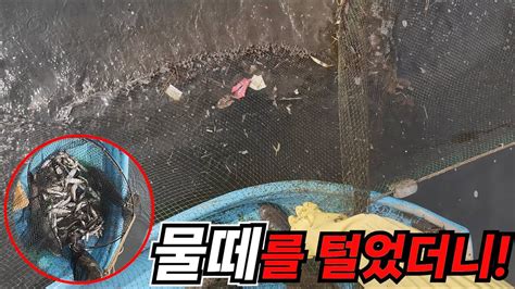 겨울 동안 잔뜩 껴있던 물때를 털어줬더니 엄청난 일이 벌어졌습니다 Youtube