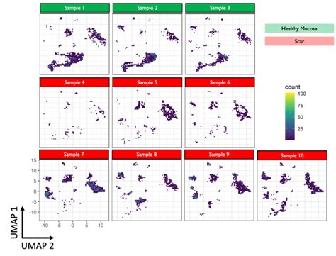 Figure S3 Umap Of Individual Samples Download Scientific Diagram