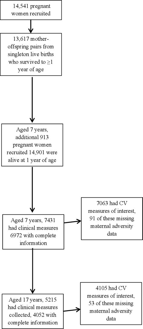 Participation Flow Chart Download Scientific Diagram