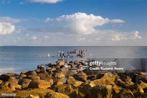 Batlic Photos And Premium High Res Pictures Getty Images