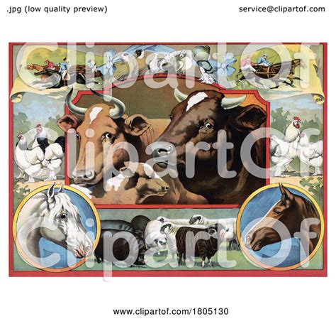 Cattle Horse Races Chickens Sheep And Pigs By Jvpd 1805130