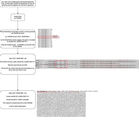 Gff3 Extracting Animo Acid And Nucleotide Sequences From Kofamscan