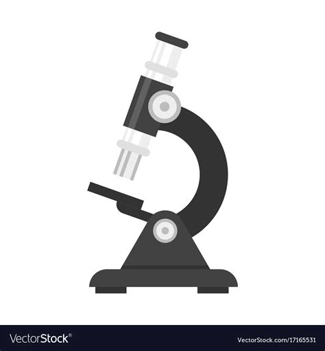 Microscope Royalty Free Vector Image VectorStock