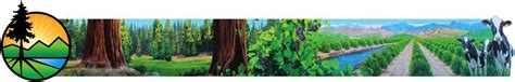 County Of Tulare Human Resources And Development Linkedin