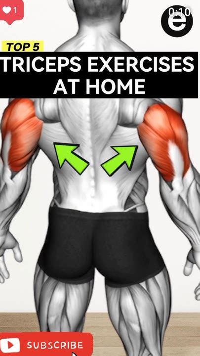Big Triceps Workout Kaise Kare For Beginners 30 Day Bodybuilding