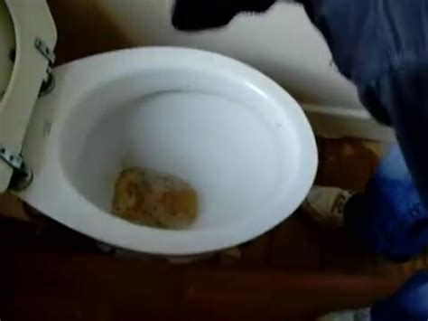 Drunk Dave Pukes Thisvid Com