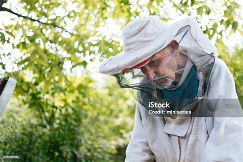 무성한 녹지와 자연에 둘러싸인 보호 장비를 착용하고 일하는 양봉가 80 89세에 대한 스톡 사진 및 기타 이미지 80 89세 고요한 장면 공예 Istock