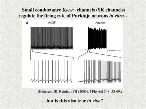 Ppt Simulating In Vivo Like Synaptic Input Patterns In