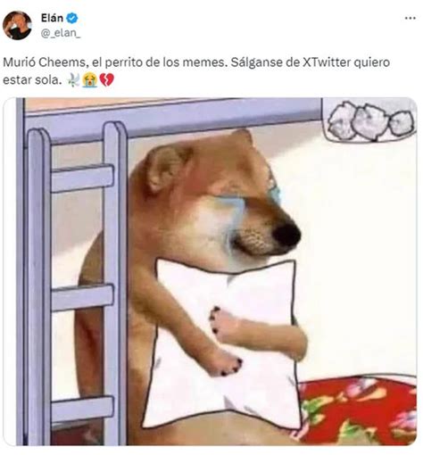 Internautas Despiden A Cheems Con Los Mejores Memes La Prensa Gráfica
