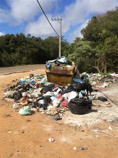 Problemas Com A Coleta De Lixo Continuam Gerando Reclamações Jornal
