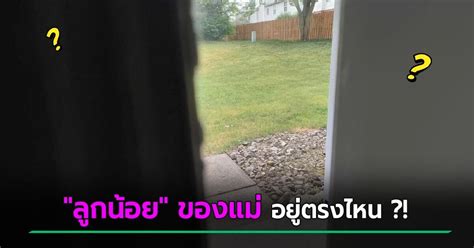 ภาพลวงตา แมสงภาพลกนอย หลงมาหลงบาน เพงดจนตาจะปวด ยงกวาจบผดภาพ