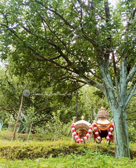 🙏🏻 ️🌺jai Devta Bendra Kotkhai “ The Best Place Ever