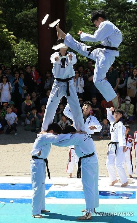 스포츠박사 기자의 스포츠용어 산책 655 태권도 ‘격파擊破는 어떻게 만들어진 말일까