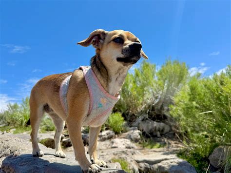 Nicholette And Brian Added A New Photo Nicholette And Brian