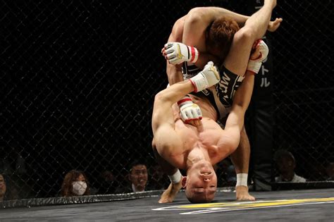 Grappling Martial Arts Styles In MMA