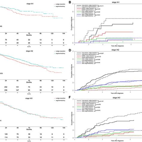 Standardized Differences Of Baseline Variables Between Patients With