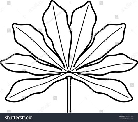 Cassava Plant Vector Outline Icon Stock Vector Royalty Free