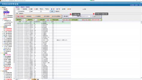 用access开发《劳资信息管理系统》【access软件网】