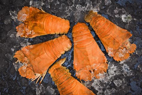 Flathead Lobster Shrimps On Ice Fresh Slipper Lobster Flathead Boiled