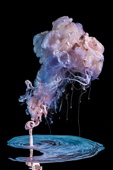 Photographer Creates Mesmerizing Liquid Ink Art Out Of Household