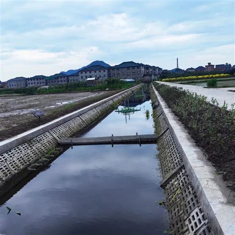 筑起生态保护墙萧山农田氮磷生态拦截沟渠建设成效显著