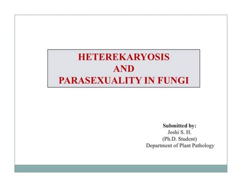 Sex Hormones In Fungi Pdf
