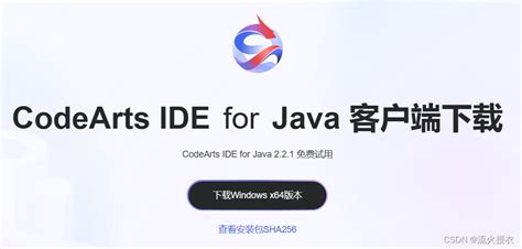 Java入门：11 编译器（codearts Ide For Java）java编译器 Csdn博客