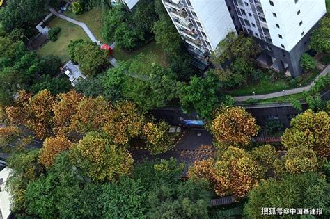 重庆秋日之美 搜狐大视野 搜狐新闻