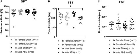 Decreased Time Immobile On The Tst Following Btbi A Spt Did Not Show Download Scientific