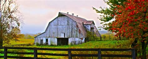 The Best Campgrounds In Kentucky Usa 2025 Where You Make It
