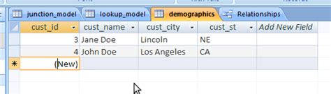 Forms Integrate Junction And Lookup Tables With A Basic Access Database Stack Overflow