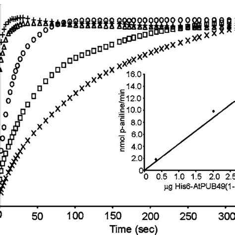 Sequence Alignment Of U Box Domains A Alignment Of The Sequence Of Download Scientific