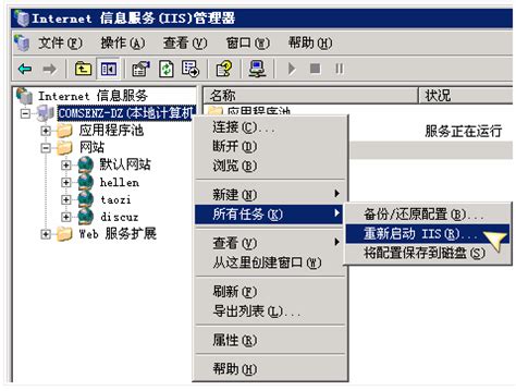 Iis Rewrite Java
