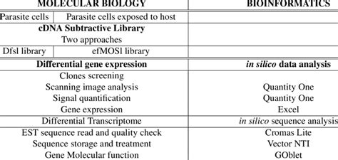 Work Flow Followed For P Olseni Transcriptome And Molecular
