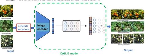 Figure 3 From Creating Image Datasets In Agricultural Environments