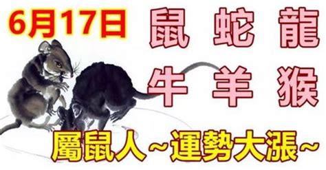 6月17日生肖運勢鼠、蛇、龍大吉 Peekme