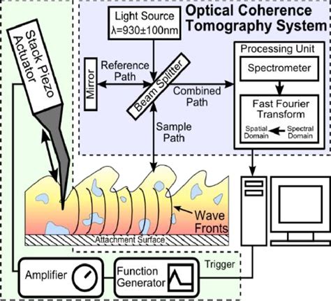 Figure 1 From Nondestructive Characterization Of Soft Materials And Biofilms By Measurement Of