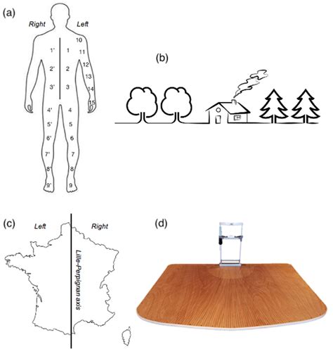 Innovative Therapy Combining Neck Muscle Vibration And Transcranial Direct Current Stimulation