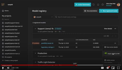 Wandb Integration With Nim Internal Or Partner Only Basic Project