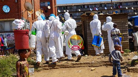 Dont Let The Bedbugs Bite No Outbreak In Bulawayo Factcheckzw