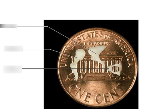 Auditory Ossicles Diagram Quizlet