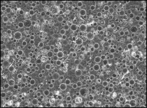 What Is Syntactic Foam