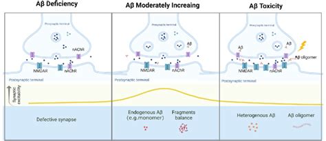Schematic Representation Of The Suggested Physiological And Download Scientific Diagram
