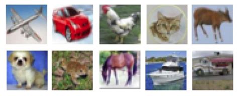 Sample Images From The Cifar 10 Dataset 1 Column Image Download Scientific Diagram